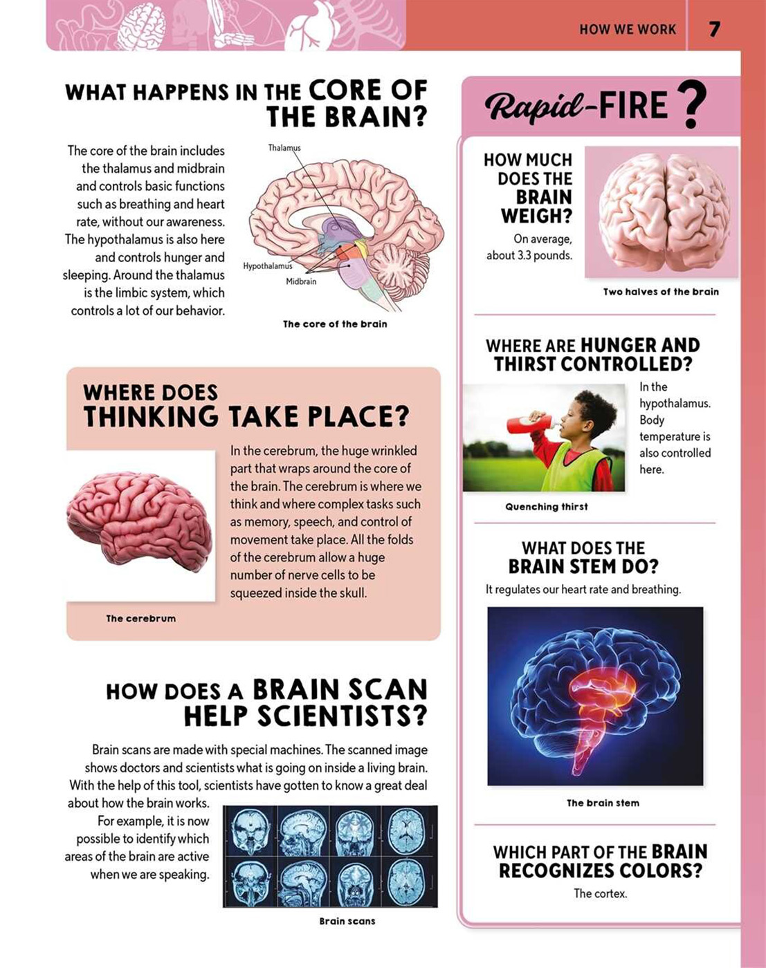 Learning is Fun. ULTIMATE QUESTIONS & ANSWERS-HUMAN BODY