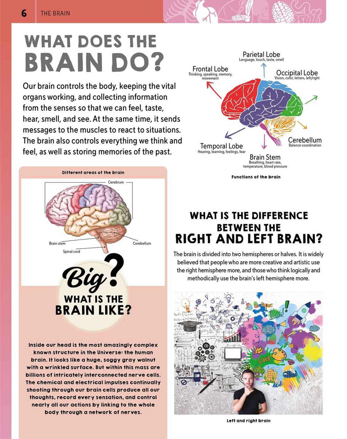 Learning is Fun. ULTIMATE QUESTIONS & ANSWERS-HUMAN BODY